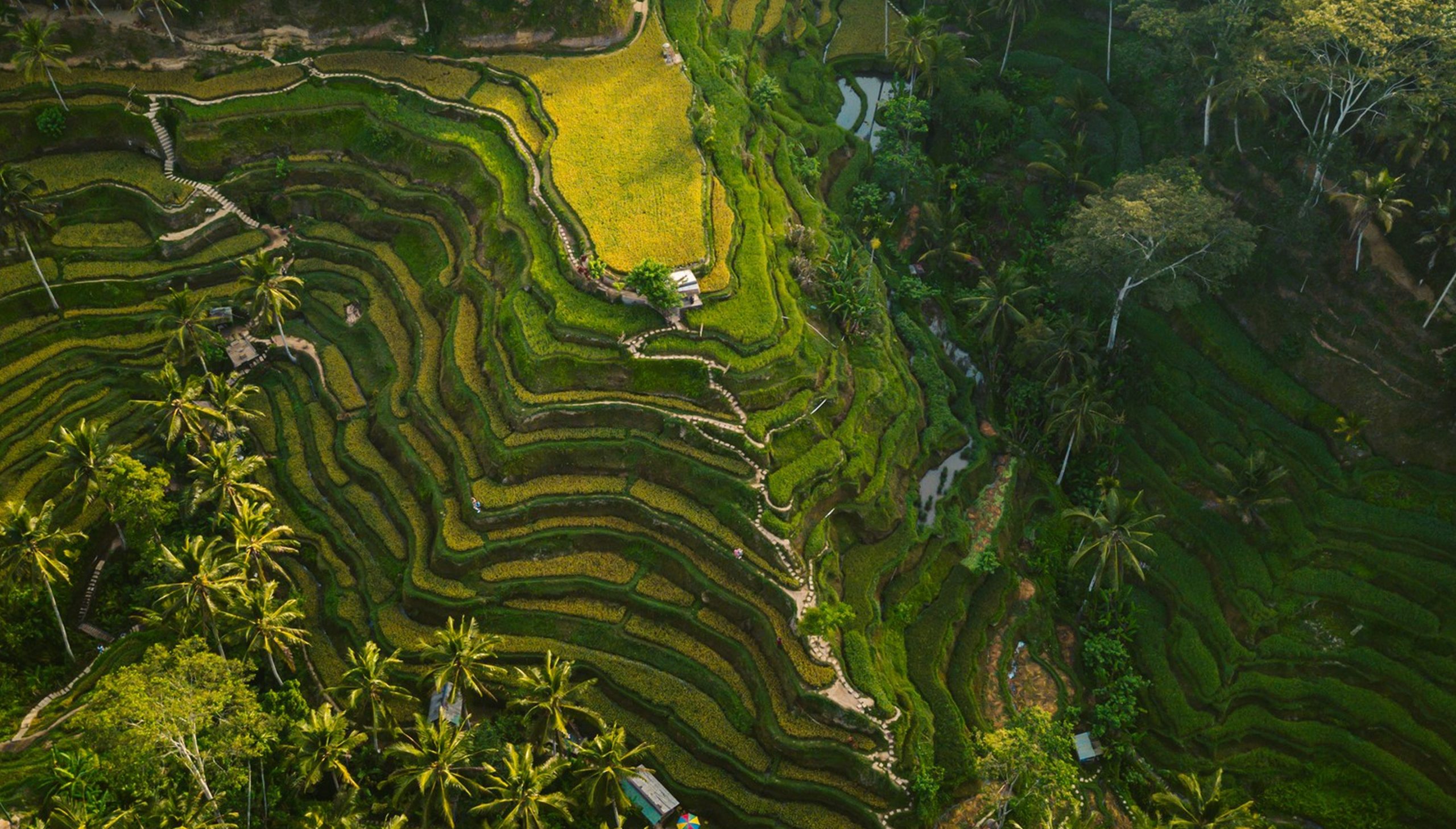 Helicopter Tours Bali - Scenic Flights with SGi Air Bali